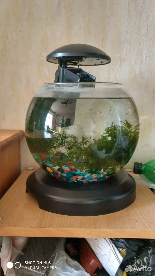 Tetra cascade globe