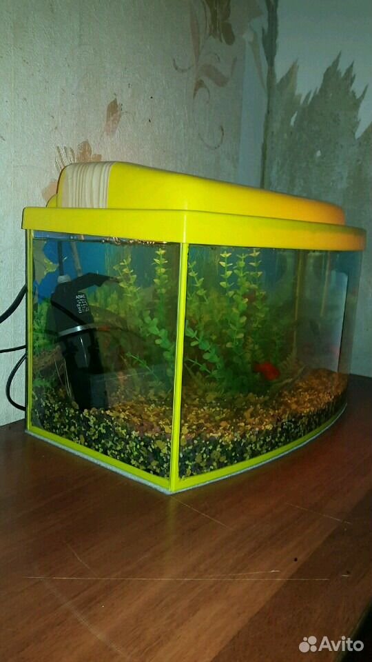 Аквариум 25л