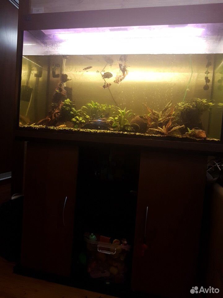 Аквариум