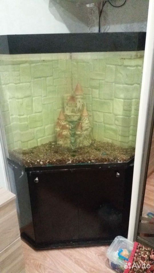 Аквариум