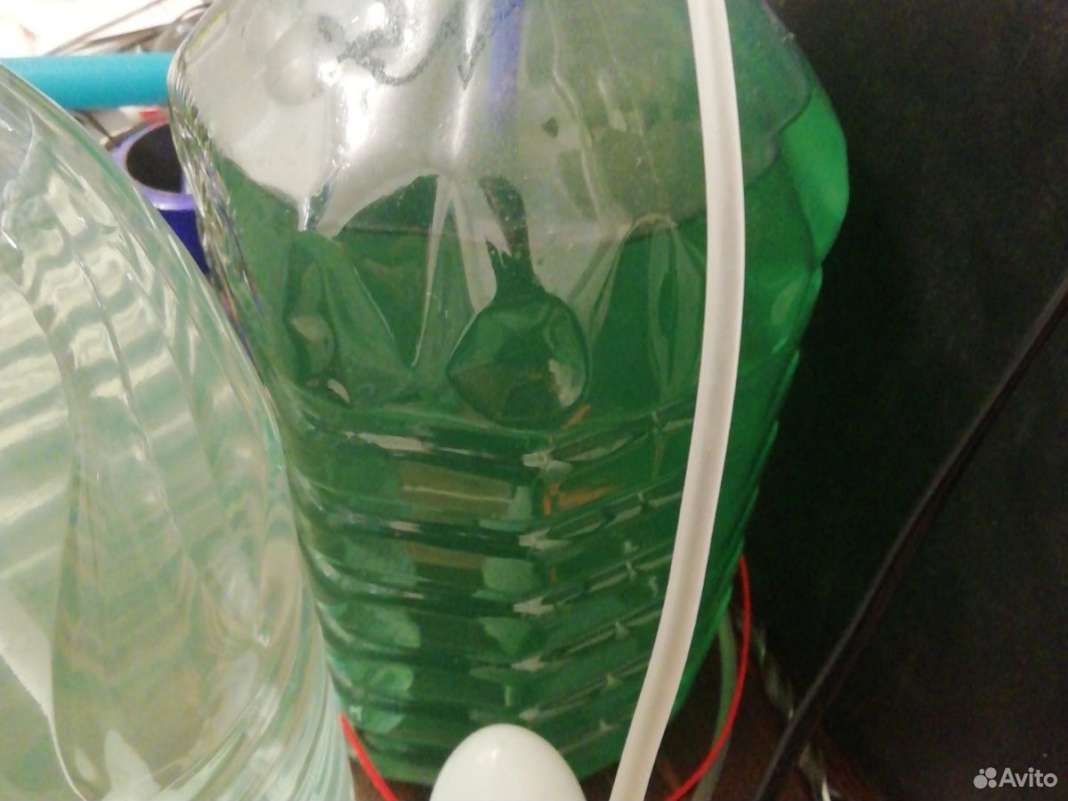 Тетраселмис. Фитопланктон