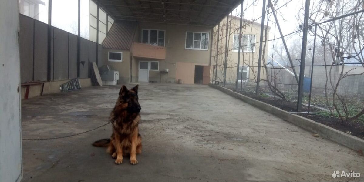 Вязка