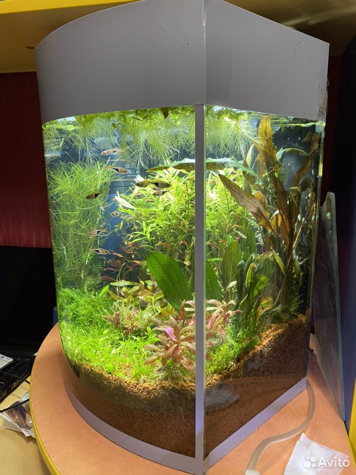Аквариум