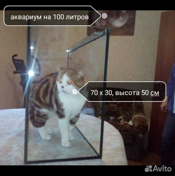 Аквариум 100 литров