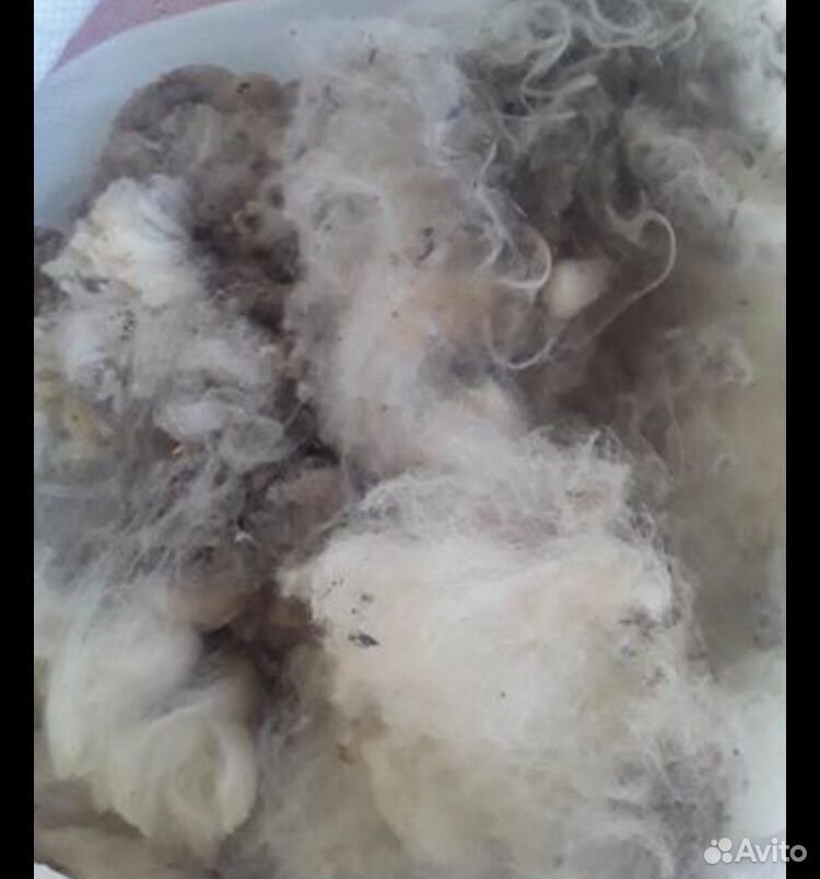 Барашки шерсть