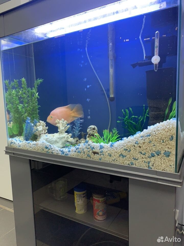Аквариум