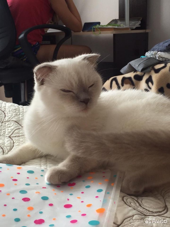 Ищем жениха)