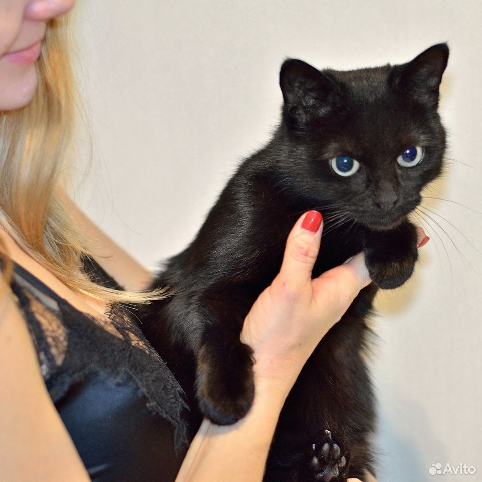 Кошка Моня, 1 год