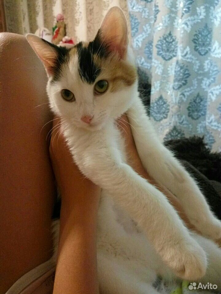 Девочка