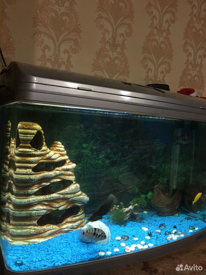 Аквариум Jebo