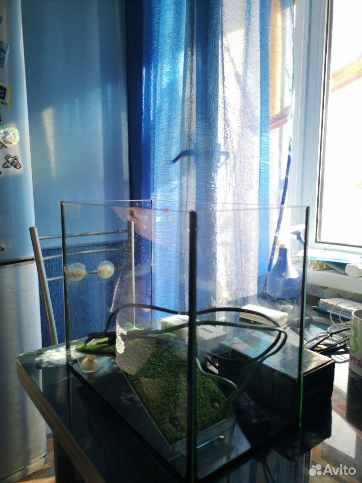 Аквариум