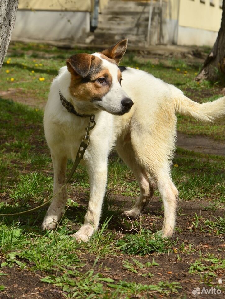 Мальчишка подросток в добрые руки