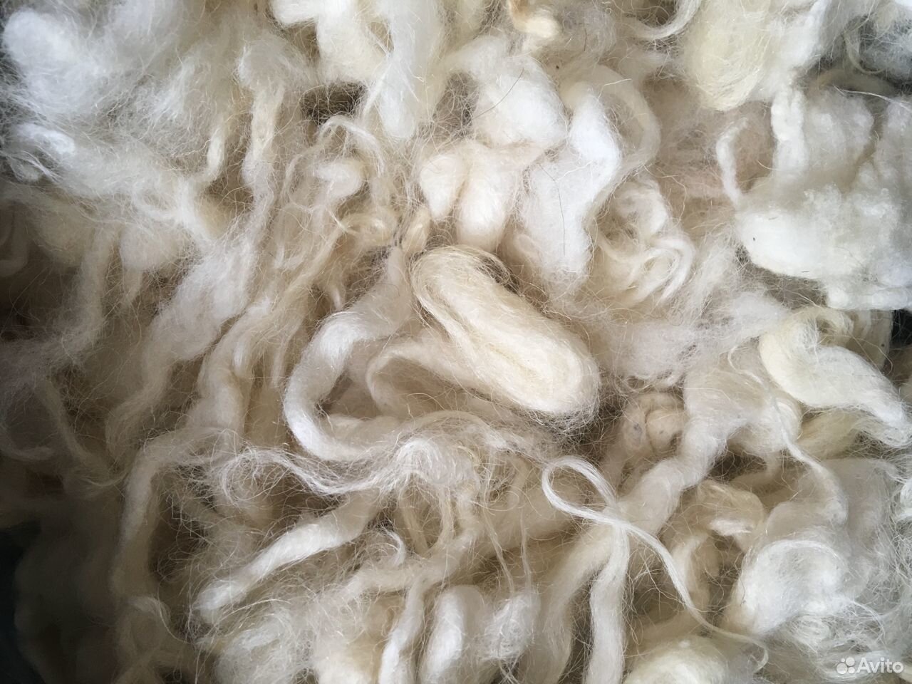 Овечья шерсть