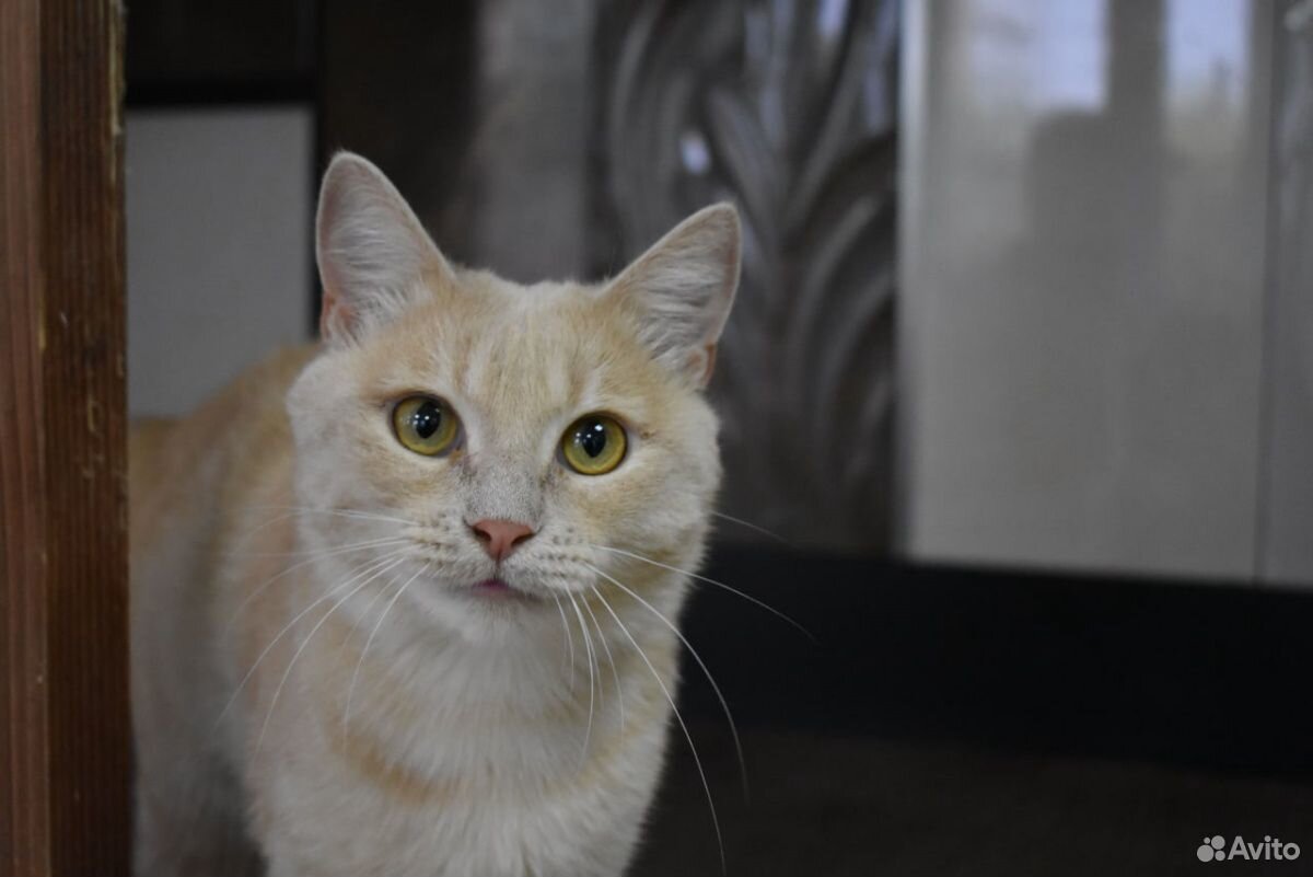 Ласковый и добрый Гарик