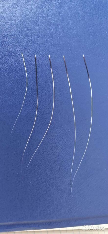 Усы кота британца