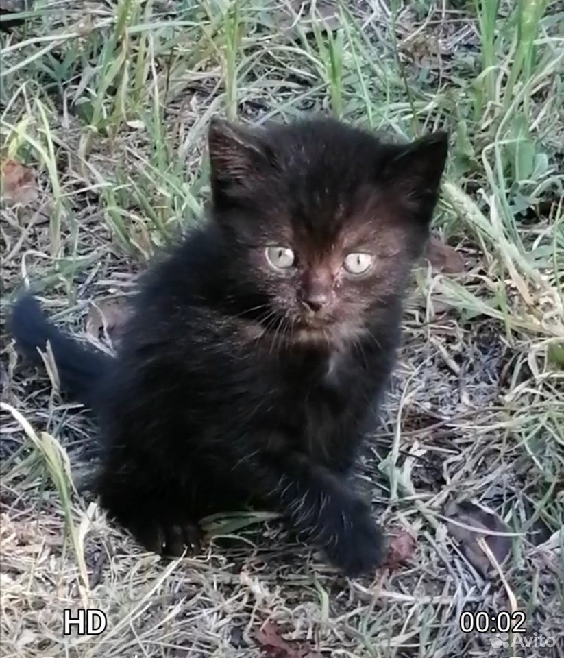 Чудесный Марсель 1 мес