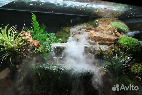 Генератор тумана для аквариума