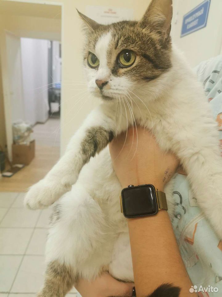 Мне страшно