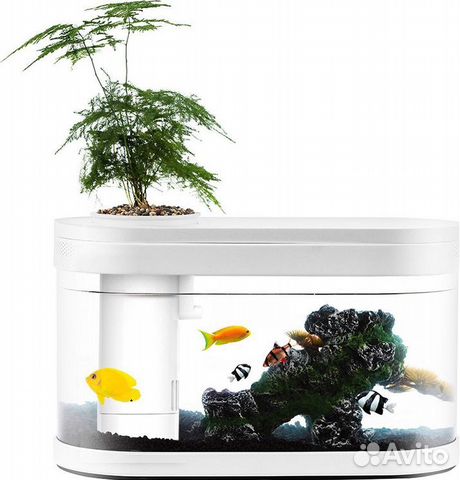 Аквариум Xiaomi Lucky Amphibious