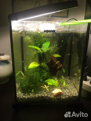 Аквариум Aquael 20л