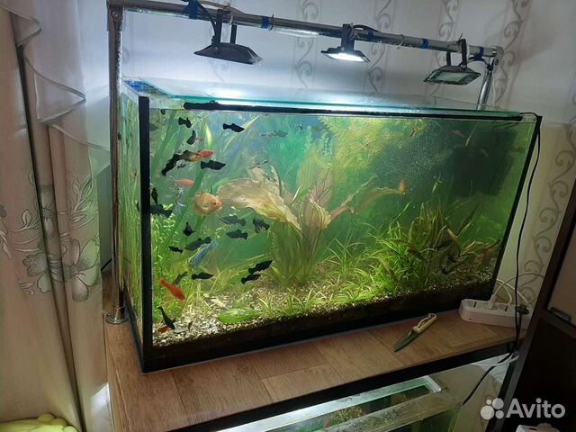 Продам аквариумную стойку с 2мя аквариумами по 200