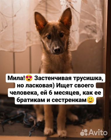 Я так жду тебя мама