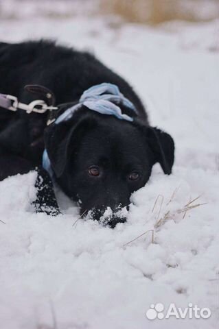 Крутой Макс хочет домой
