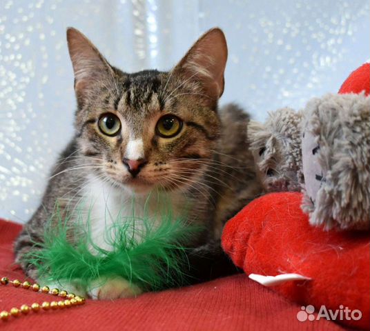 Платоша очень ласковый и нежный малыш