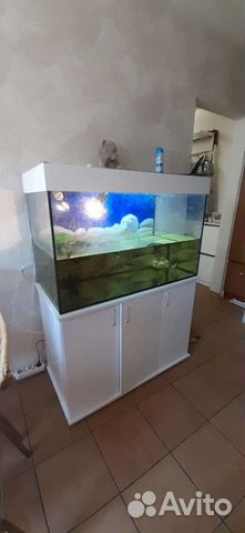 Аквариум для черепах
