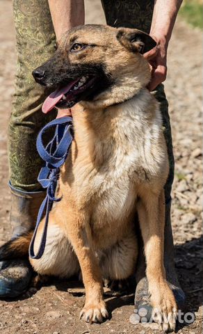 Милый парень