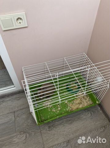 Кролик с клеткой