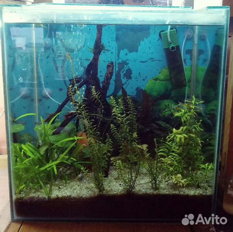 Аквариум 100 литров б/у