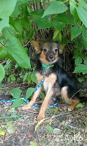 Маленький мальчик