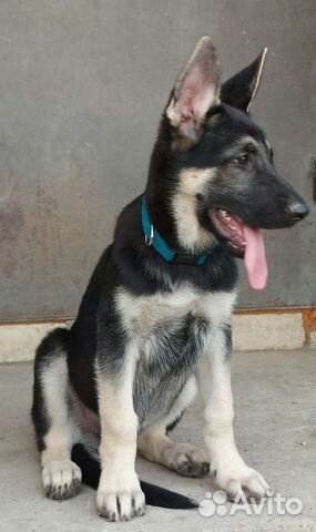 Девчулька-красатулька