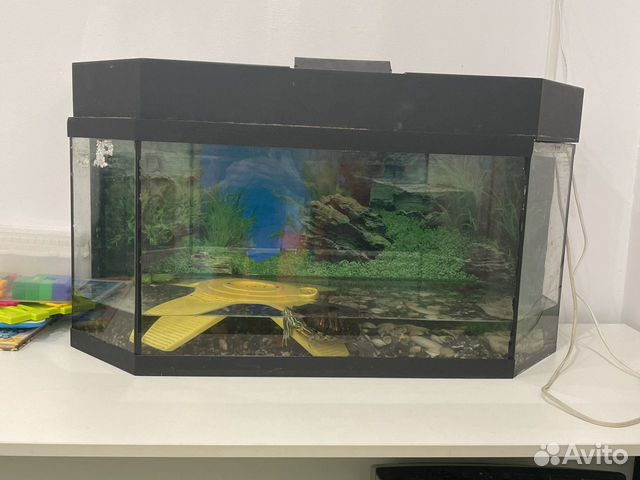 Аквариум с морской черепахой