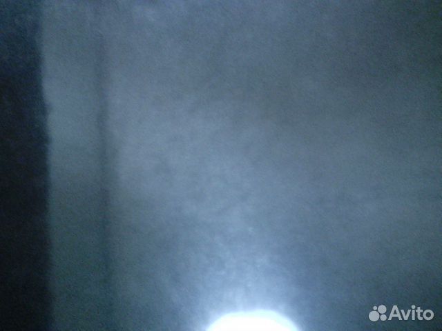 Инфузория - стартовый корм для мальков