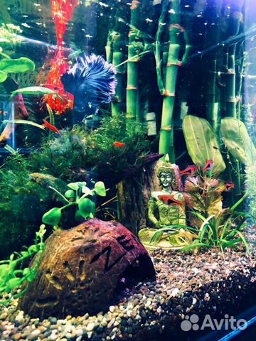 Грот для аквариума