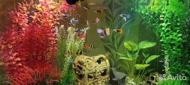 Аквариум на 170 литров