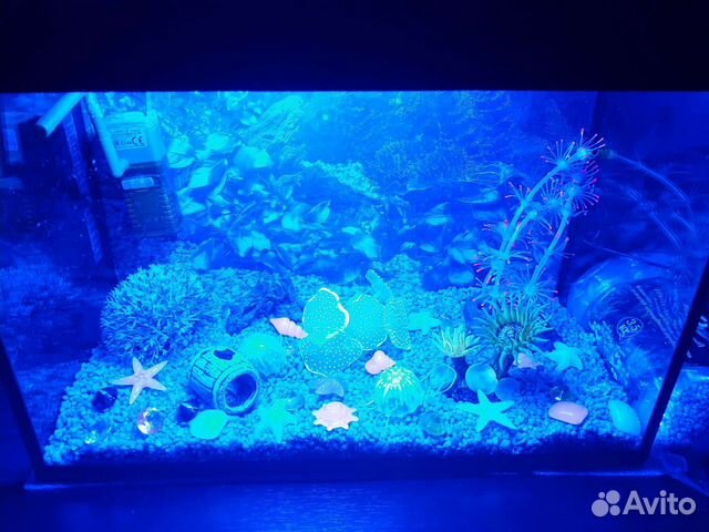 Аквариум в сборе 15литров