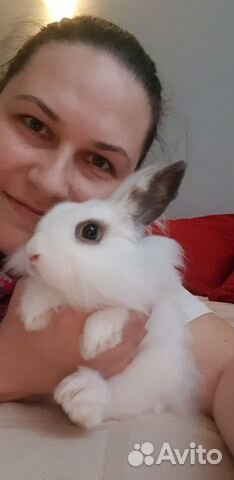 Крольчиха в добрые ответственные руки