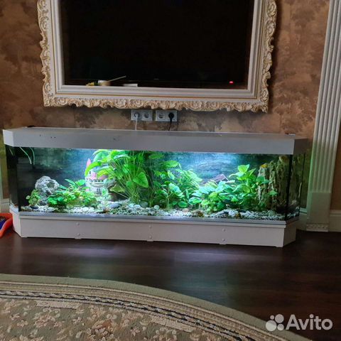 Аквариум