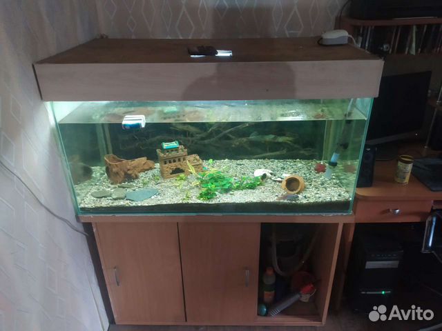 Аквариум на 300 литров