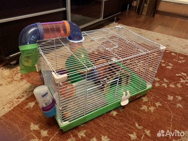 Песчанка (клетка для грызунов)