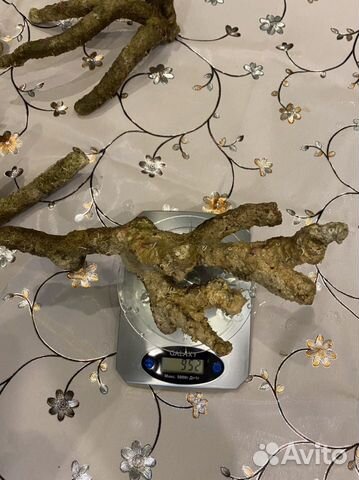 Живые камни, рога (премиум), сборное плато