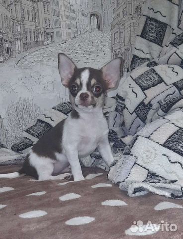 Мини мальчик Лёня