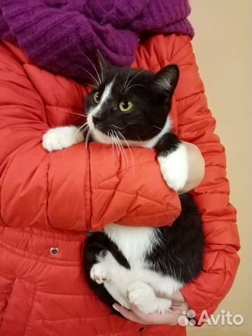 Можно к детям ласкуша 6 мес