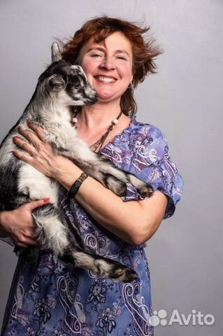 Козы козочки козлики козлята