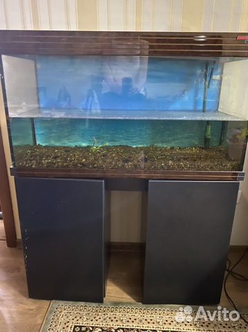 Аквариум eheim Professional