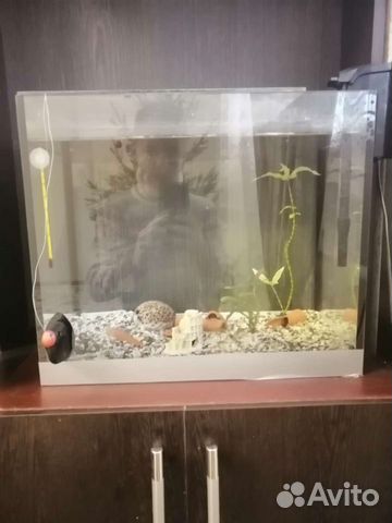 Аквариум 40л комплект