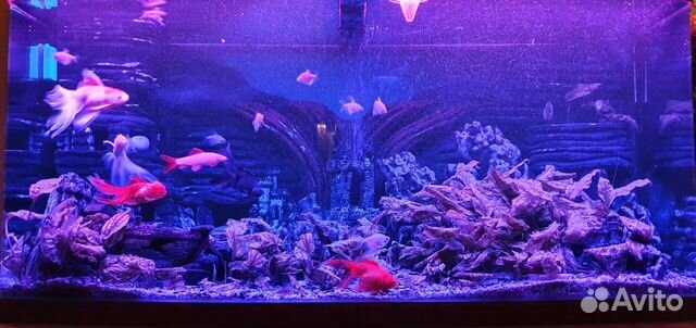 Аквариум с тумбой 300 литров